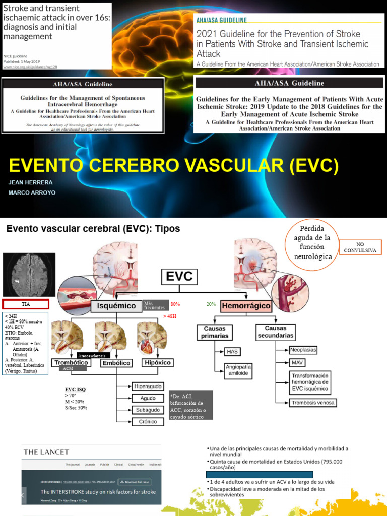 Clasificación del EVC Isquémico | PDF | Ganglios basales | Carrera