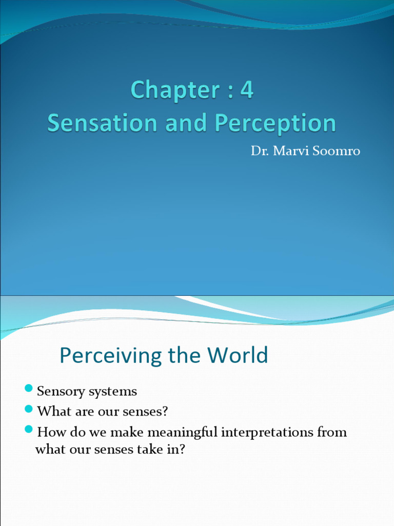 Understanding Sensation and Perception | PDF | Senses | Perception