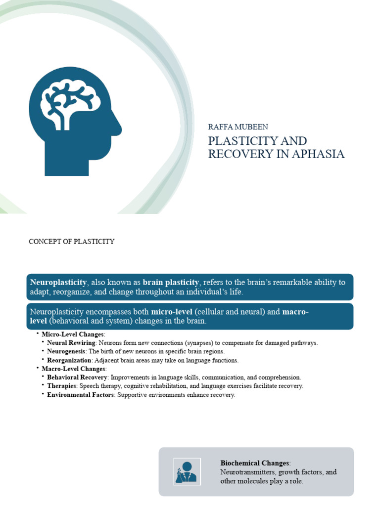 Plasticity and Recovery in Aphasia | PDF | Neuroplasticity | Aphasia