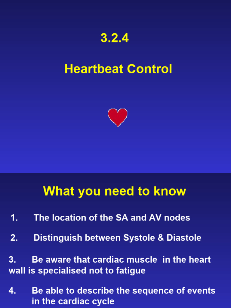 Heartbeat Control and Cardiac Cycle Explained | PDF