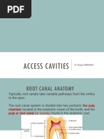 Endo Morphology Chart PDF | PDF | Tooth | Dental Anatomy