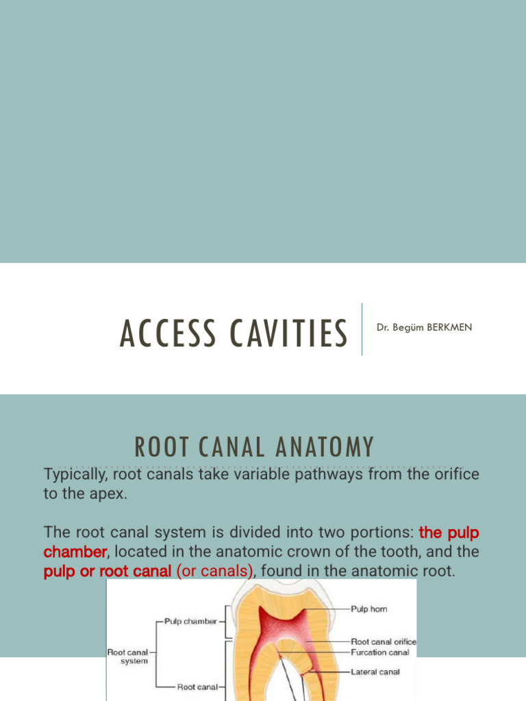 1.Access Cavities | PDF | Dental Anatomy | Mouth