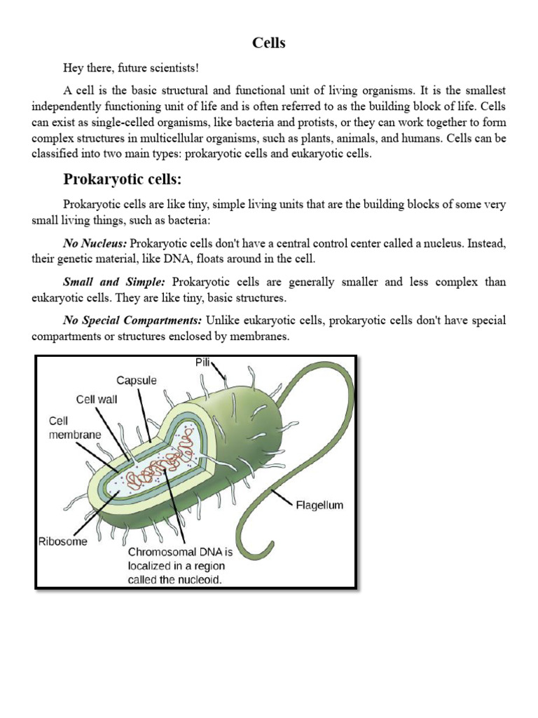 Cells_tissue | PDF | Cell (Biology) | Endoplasmic Reticulum