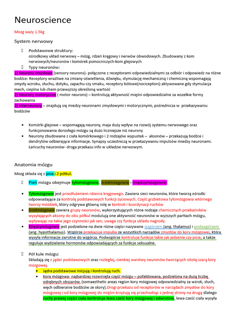 Neuroscience | PDF