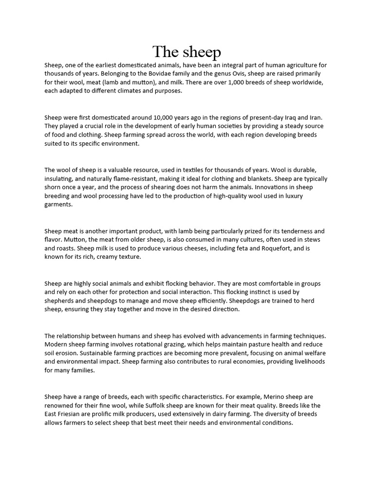 The sheep | PDF | Sheep | Lamb And Mutton