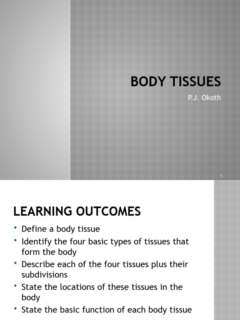 Body Tissues | PDF | Epithelium | Tissue (Biology)