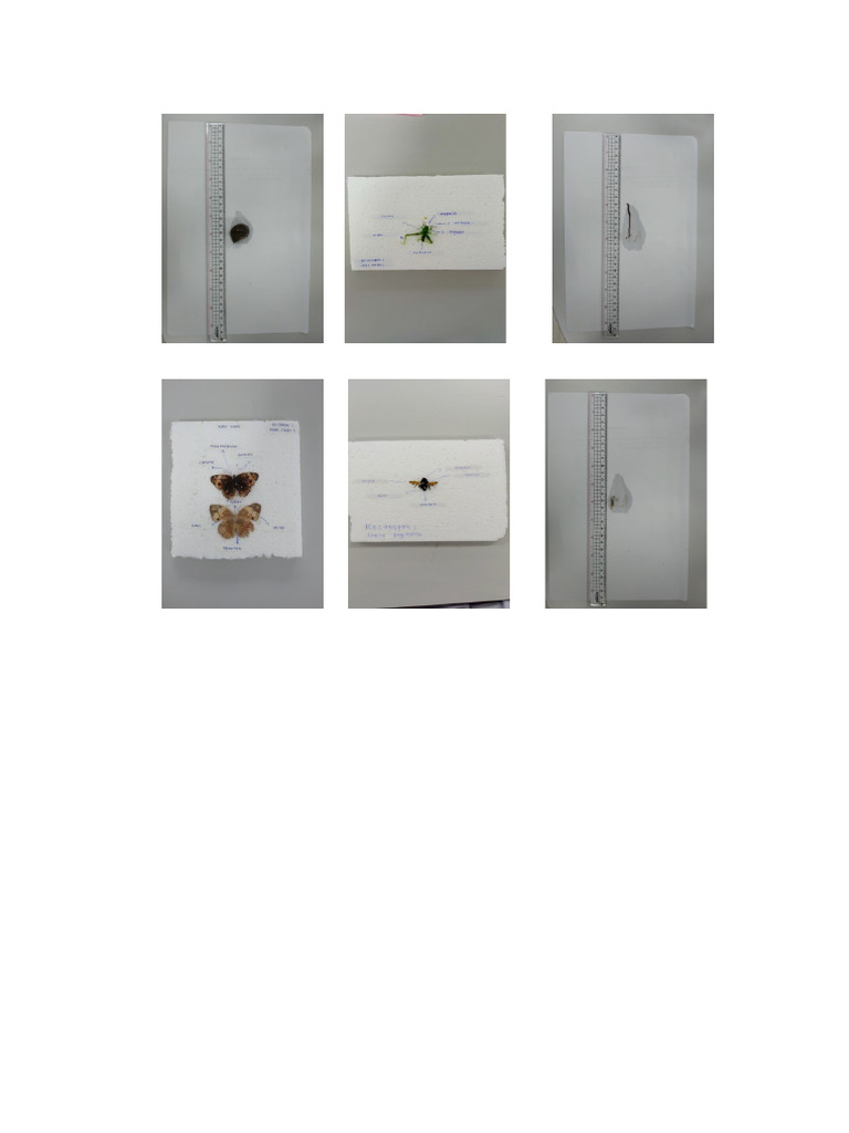 Gambar Objek 8 | PDF