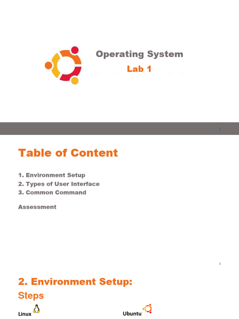 Lab 1 | Download Free PDF | Linux Distribution | Linux