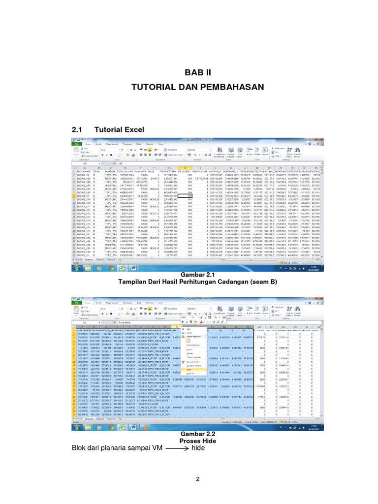 Tutorial Resgraph dan Analisis Seam | PDF