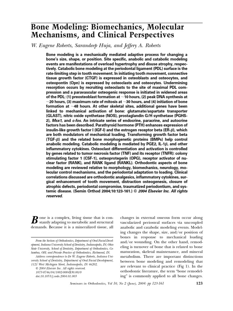 Bone Modeling Biomechanics Molecular Mec | Download Free PDF | Bone | Osteoblast