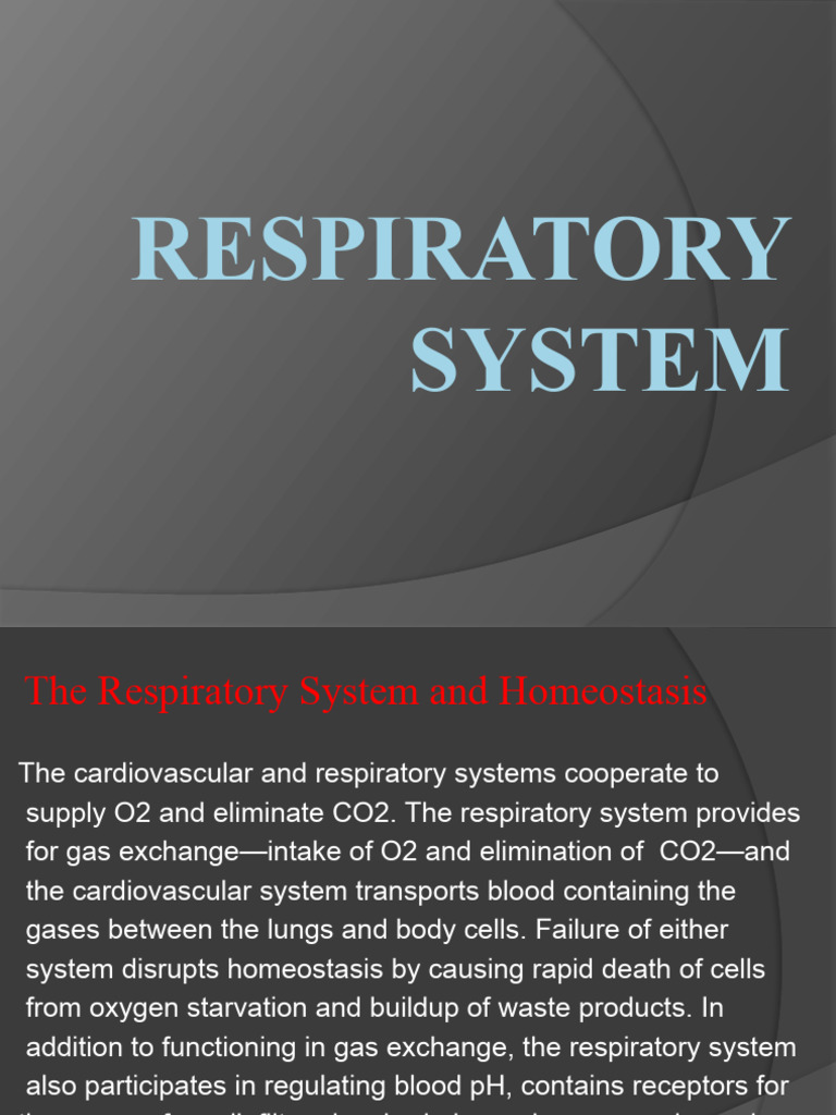 Respiratory System Pdf Lung Respiratory Tract