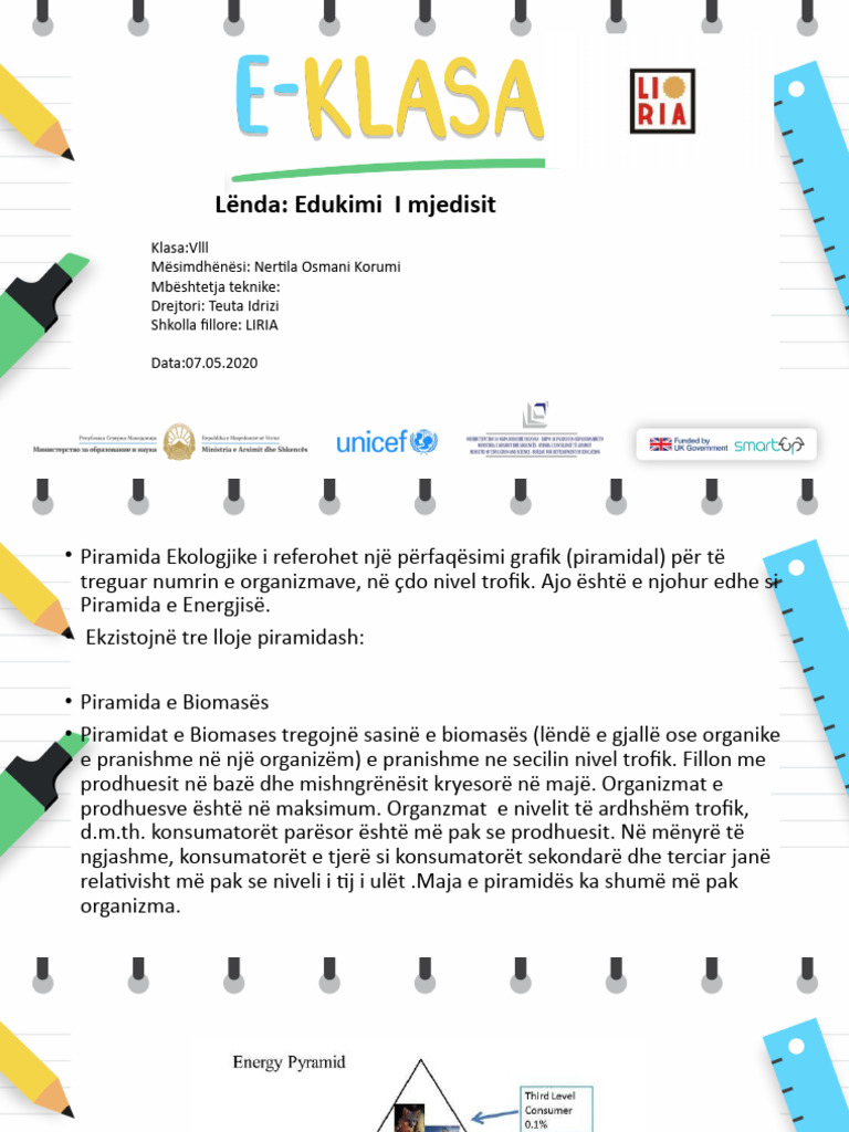 Edukim I Mjedisit KL - VIII Piramidat Ekologjike VLLL 1 Dhe VLLL 2 | PDF