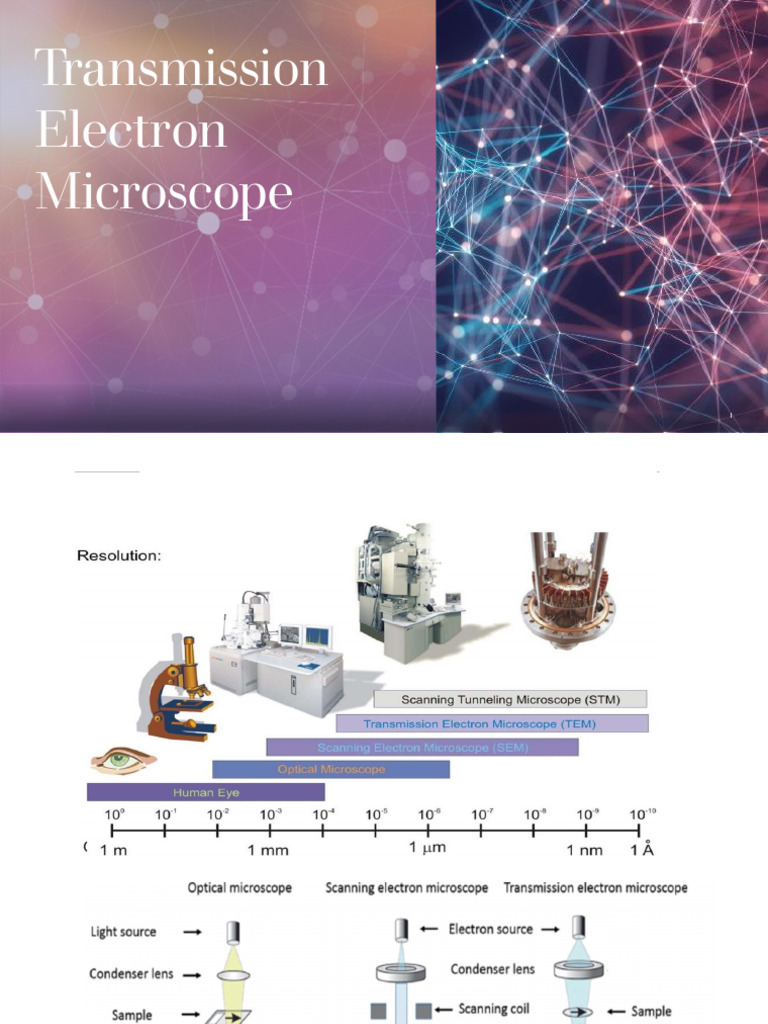 Transmission Electron Microscope | PDF | Transmission Electron Microscopy | Microscope