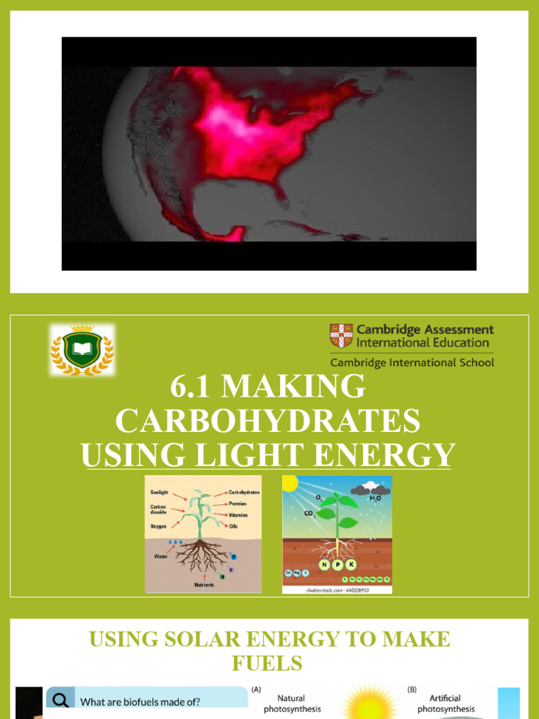 6.1 Making Carbohydrates Using Light Energy | PDF | Photosynthesis ...