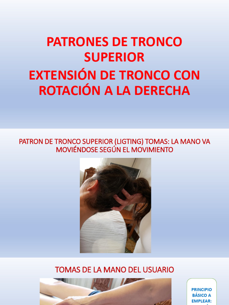 Patrones de Tronco Superior y Cabeza y Cuello | PDF | Mano | Sistema ...