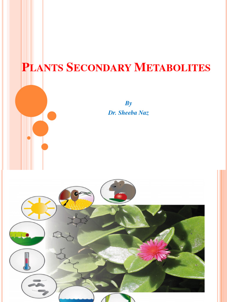 9 Plants Secondary Metabolites | PDF | Alkaloid | Metabolism