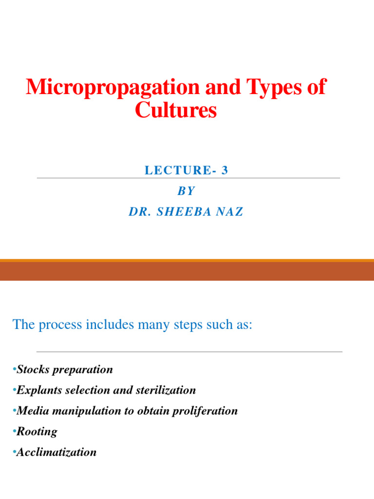 Micropropagation Techniques Overview | PDF | Seed | Embryo