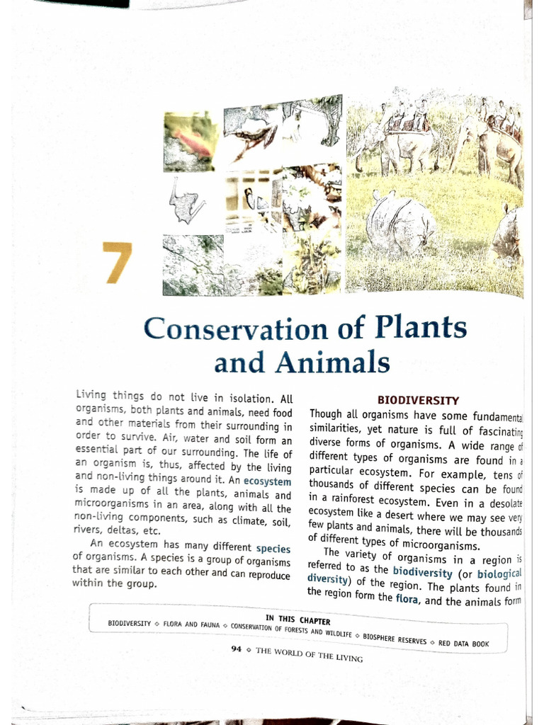 Conservation of Plants and Animals | PDF