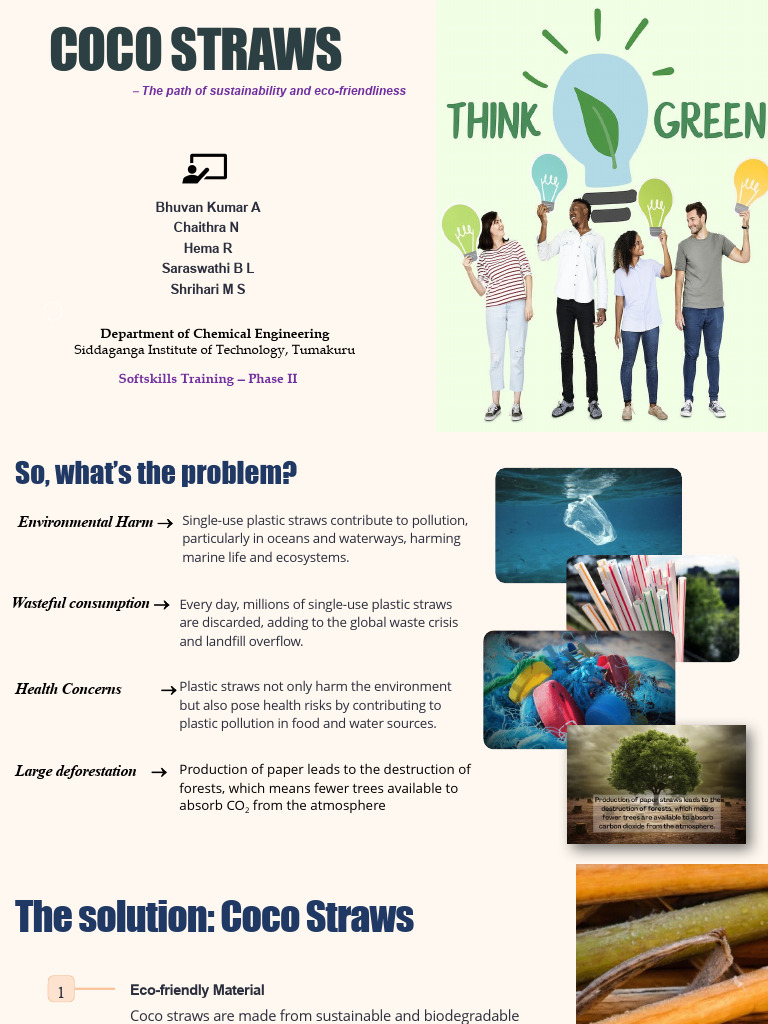 Coco Straw - Final Copy1 | PDF | Sustainability | Environmental Social ...