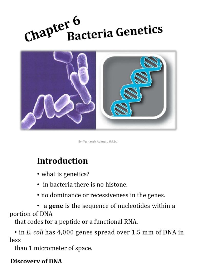 Chapter 6 - Bacteria Genetics | PDF | Translation (Biology) | Messenger Rna