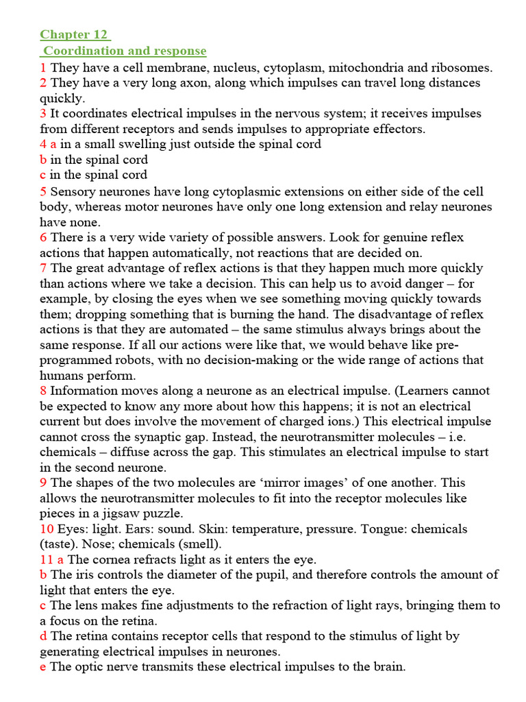 Chapter 12 Coordination and Response Notes | PDF | Neuron | Action ...