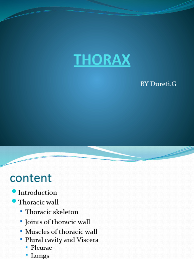 Thorax Wall | Download Free PDF | Thorax | Vertebra