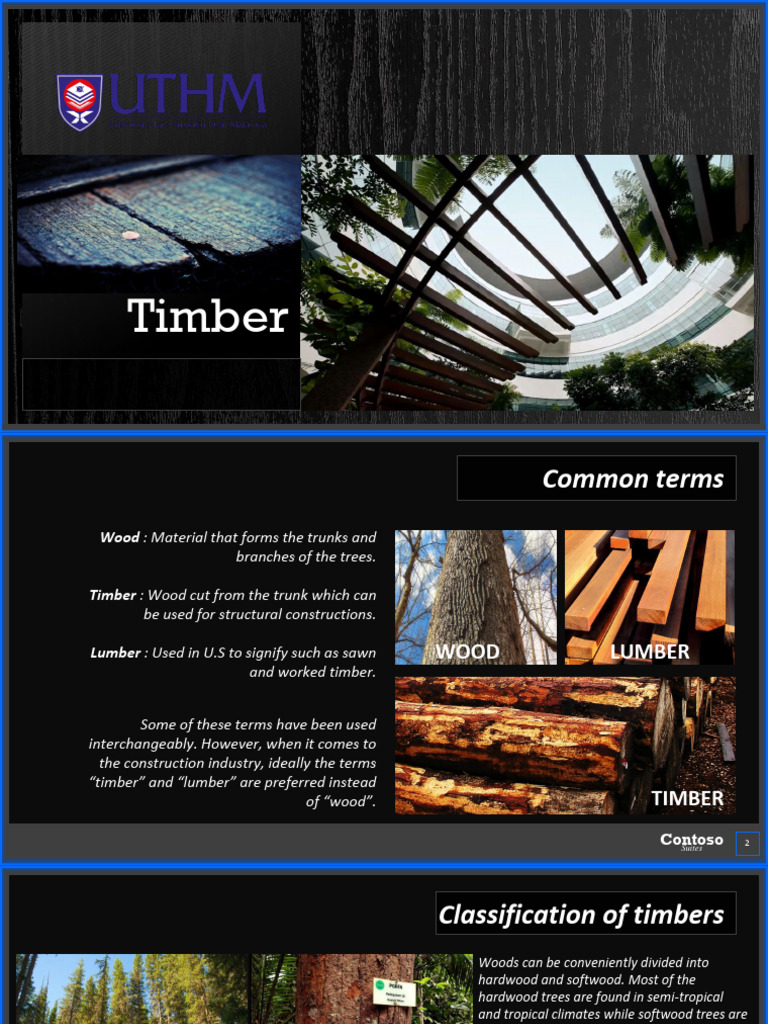 Chapter6 Timber | Download Free PDF | Wood | Hardwood