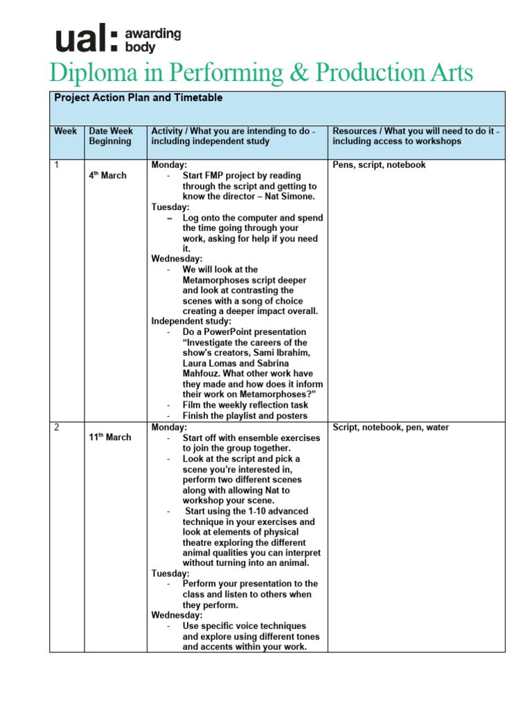 Project Proposal Action Plan | PDF