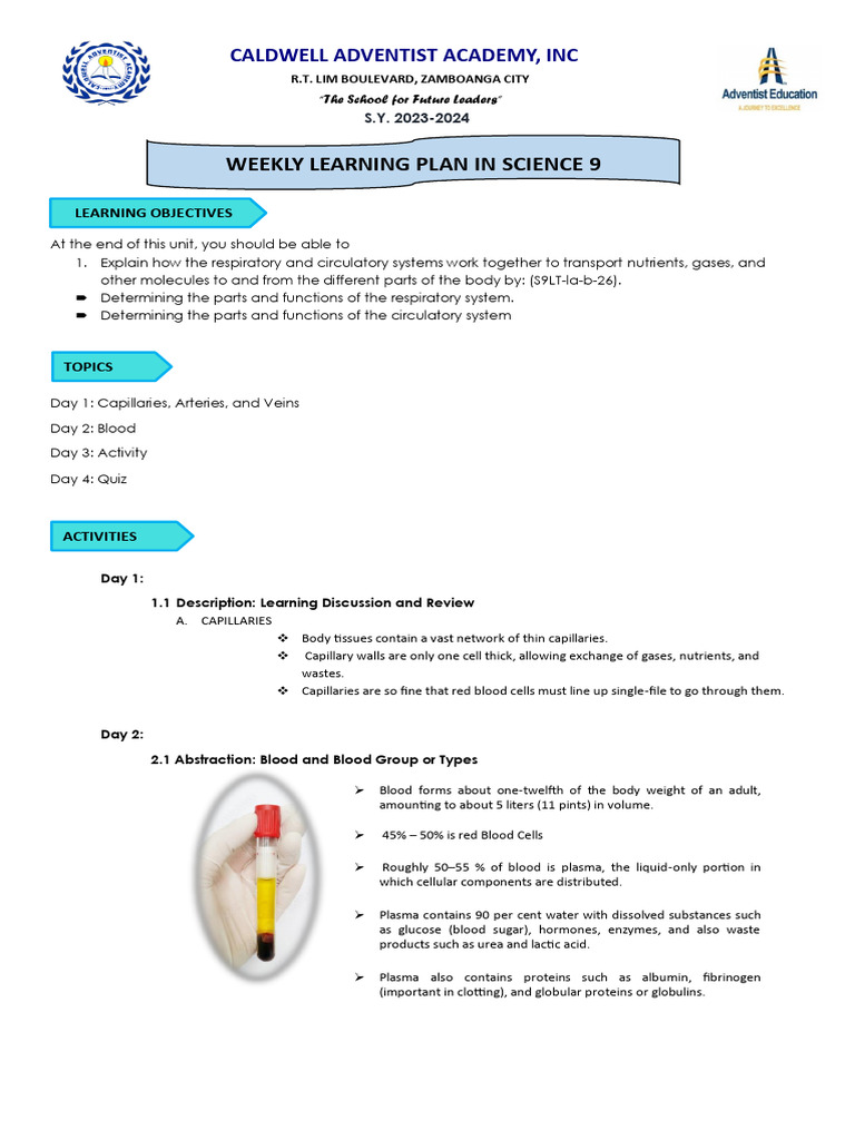 Circulatory and Respiratory Systems Overview | PDF | Blood | Capillary