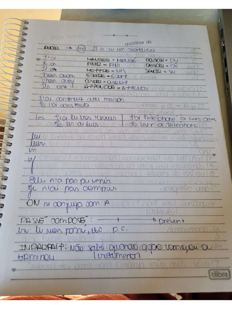 Verbo Avoir Francês Pdf