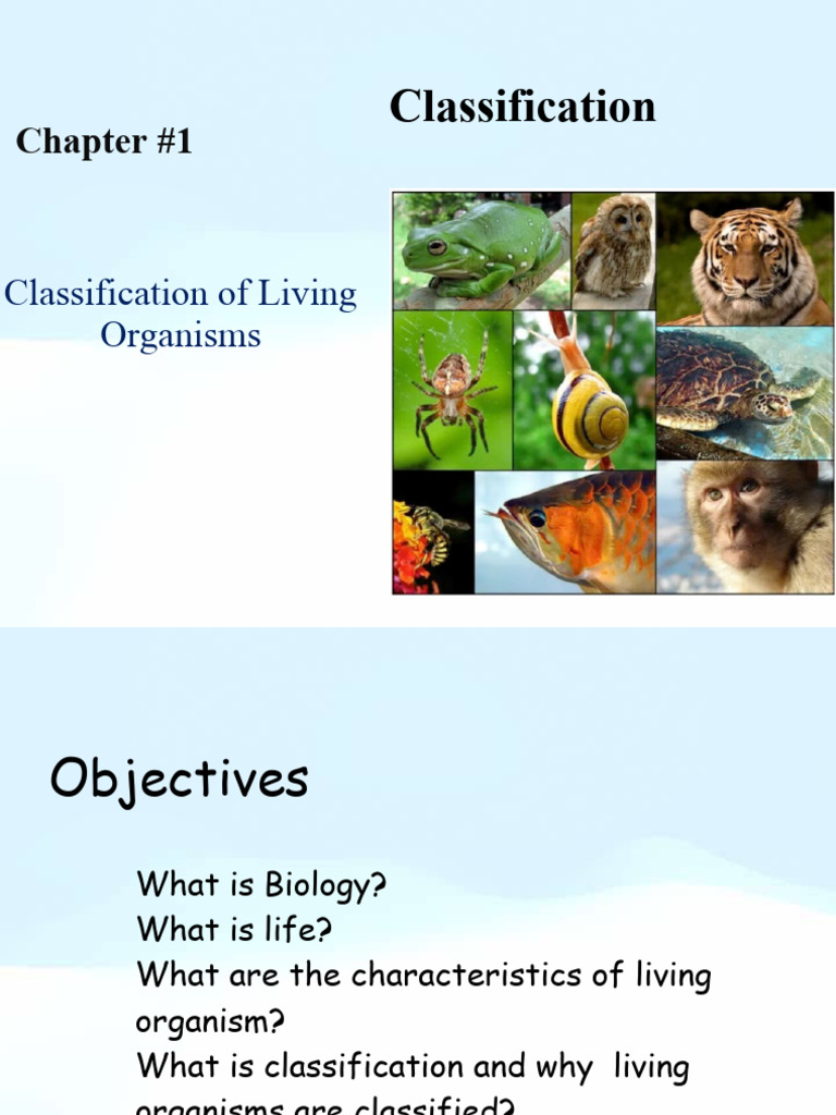 Classification of Living Organisms Guide | PDF | Leaf | Plants
