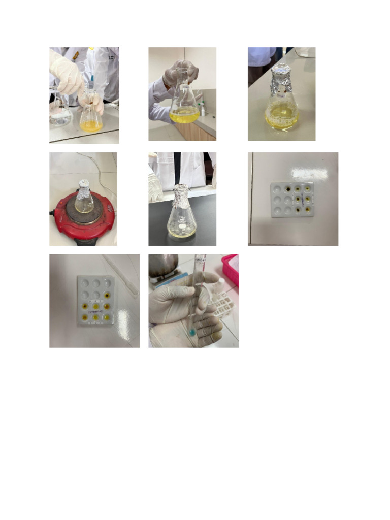 Biokim I Love You | PDF