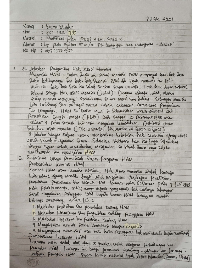 Tt2. Pembelajaran PKN Mumu Mujakin PDGK 4201. | PDF