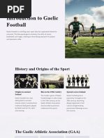 Playing Field: Diagram of A Gaelic Football Pitch | PDF | Referee ...