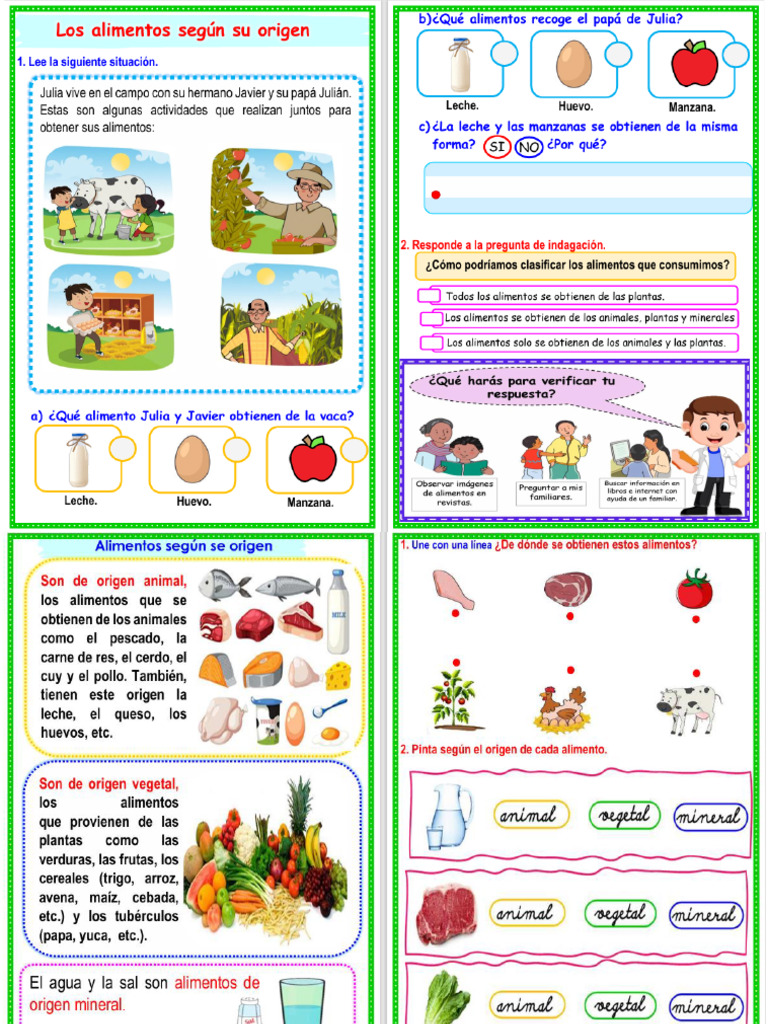Ficha Clasificación de Los Alimentos Según Su Origen | PDF