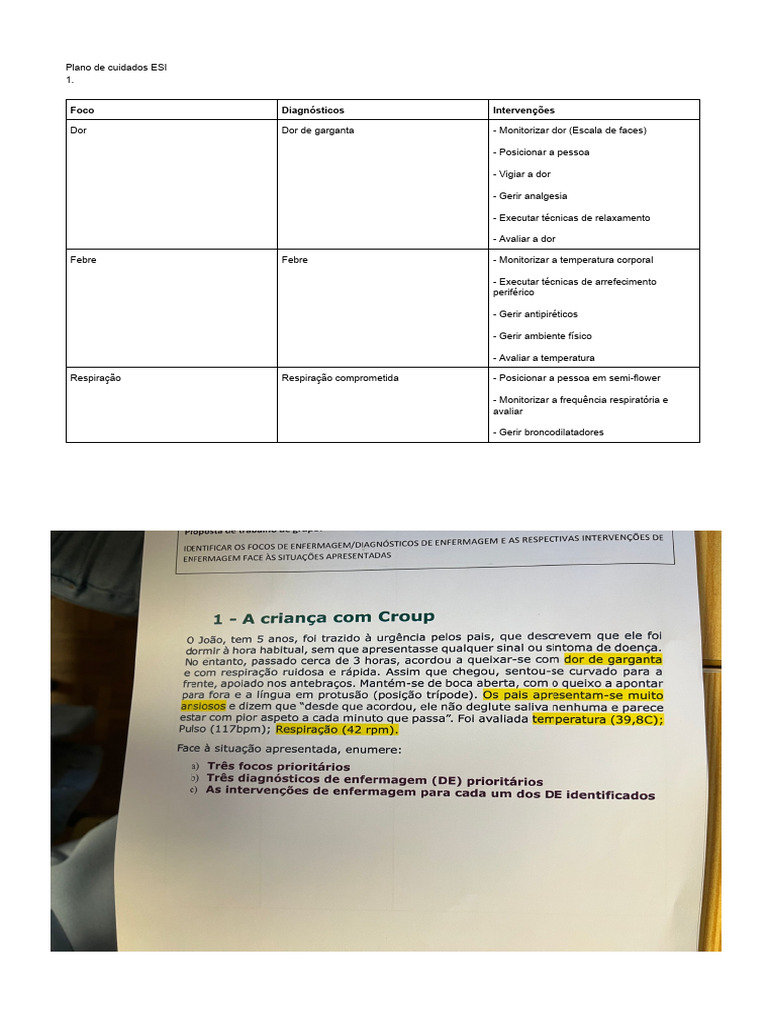 Plano de cuidados ESI | Download grátis PDF | Sintomas e sinais | Remédio
