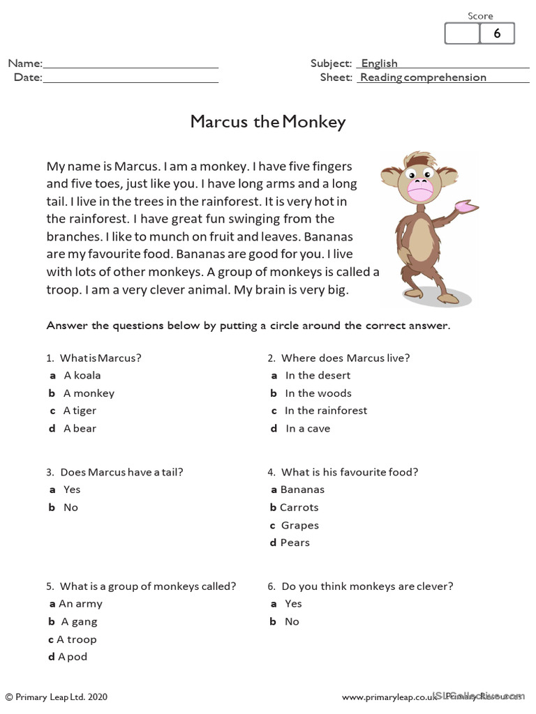 Reading Comprehension - A Monkey Called Marcus | PDF