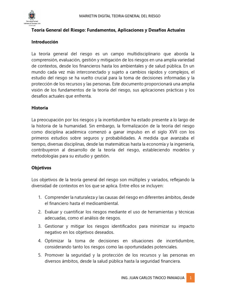 Teoria General Del Riesgo | PDF | Riesgo | La seguridad informática