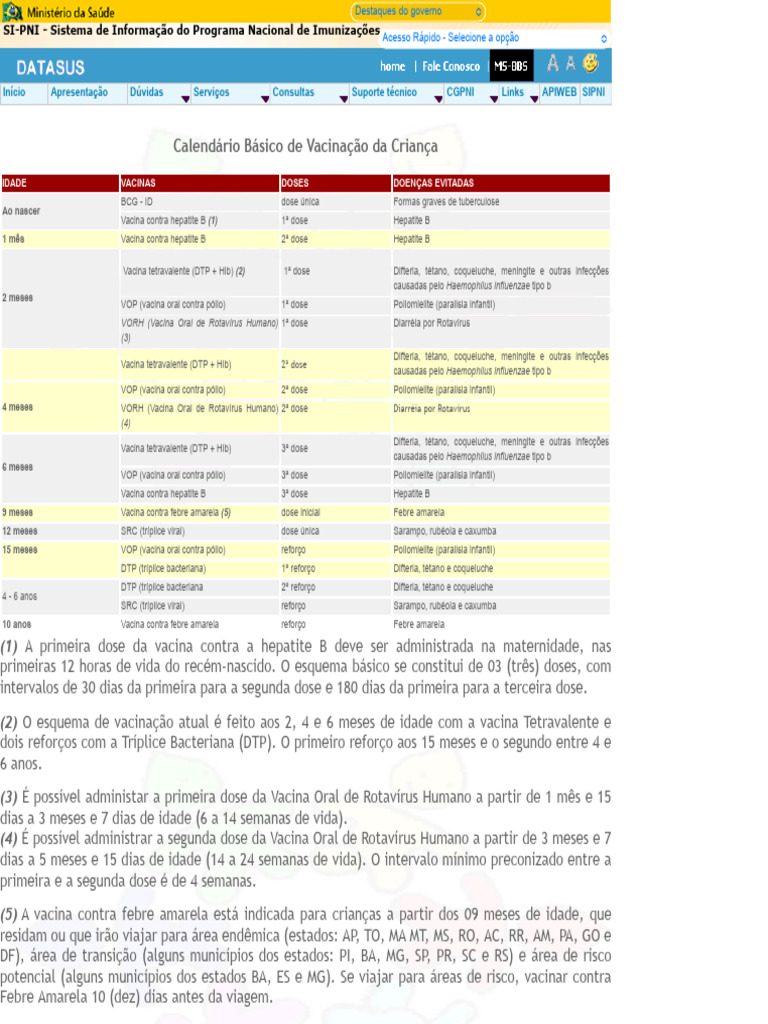 SI-PNI Sistema de Informação Do Programa Nacional de Imunização | PDF ...