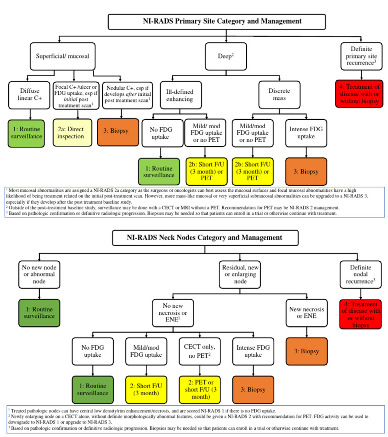 NIRADS Primary Site and Neck Nodes Categories and Management | Download ...