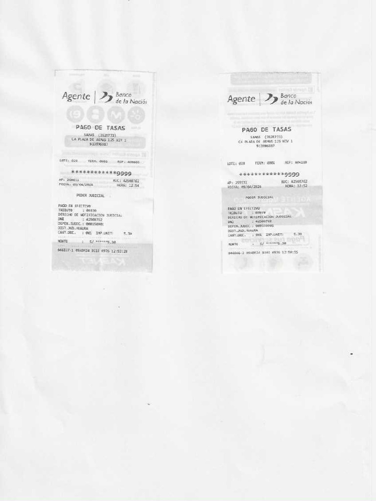 CEDULAS Y BOLETAS - ALAYA | PDF