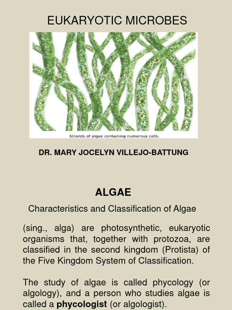 Eukaryotic Microorganisms | PDF | Protozoa | Fungus