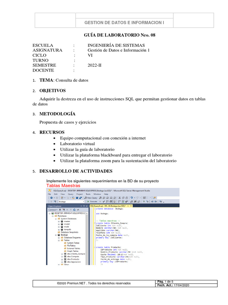 Guia de Laboratorio y Práctica #08 | PDF | SQL
