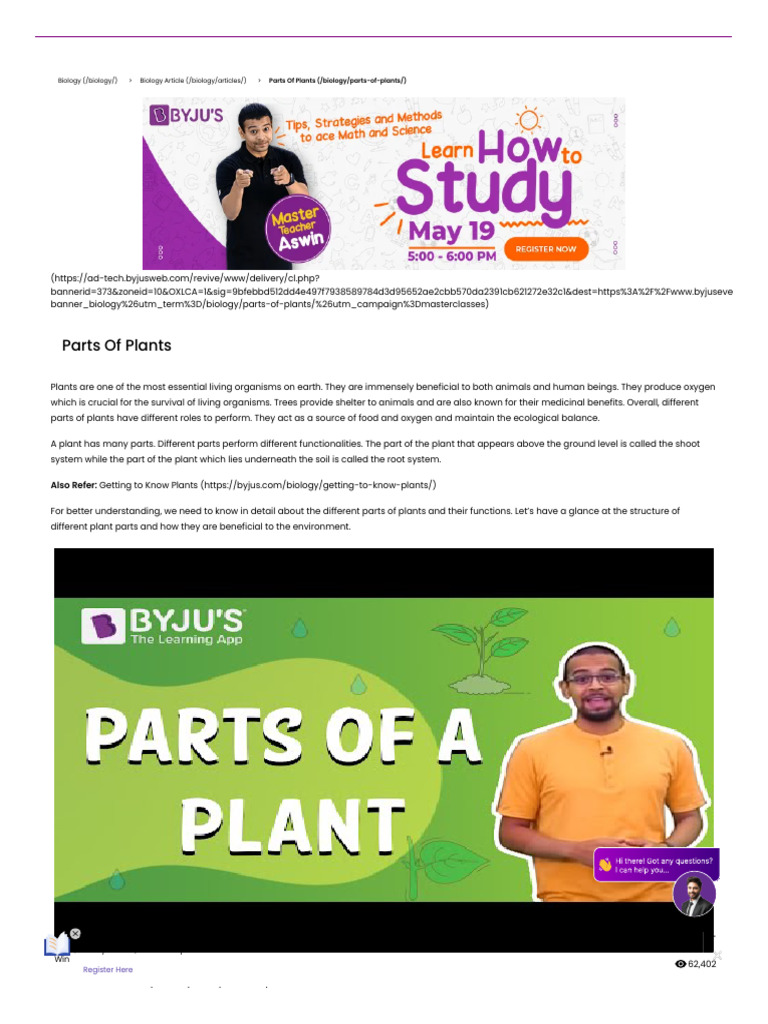 Biology of Plants - Parts of Plants, Diagram and Functions | Download ...