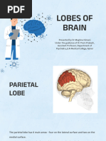VOSP: Visual Perception Test Battery | PDF | Perception ...