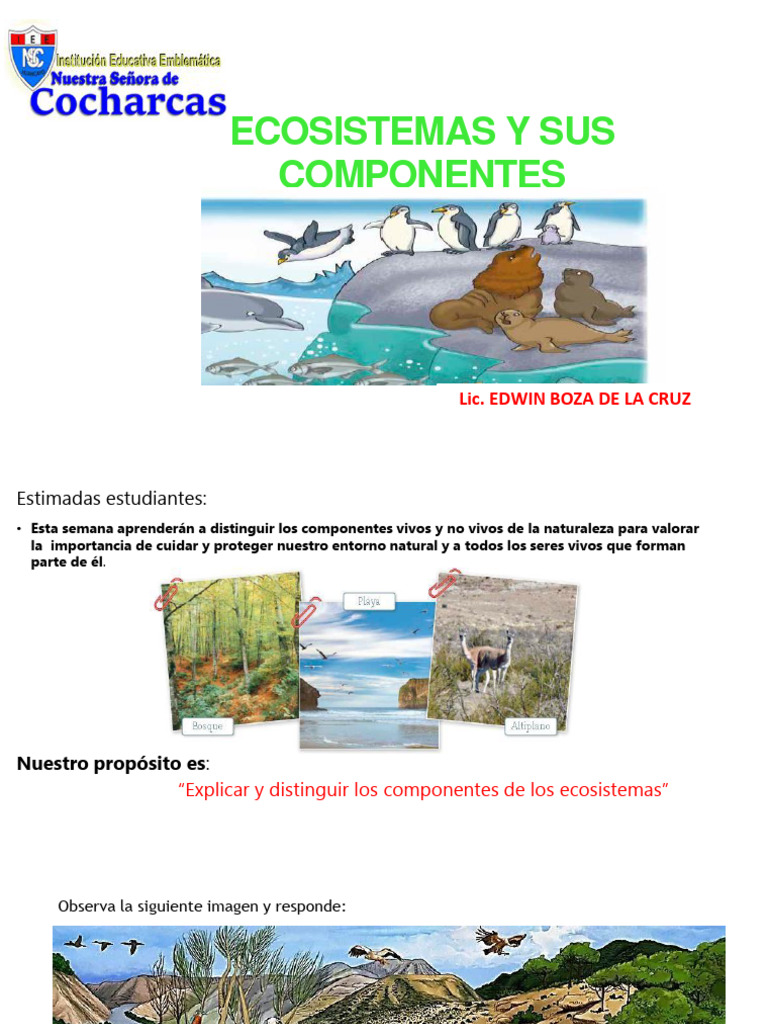 ECOSISTEMA Y SUS COMPONENTES | PDF | Ecosistema | Entorno natural