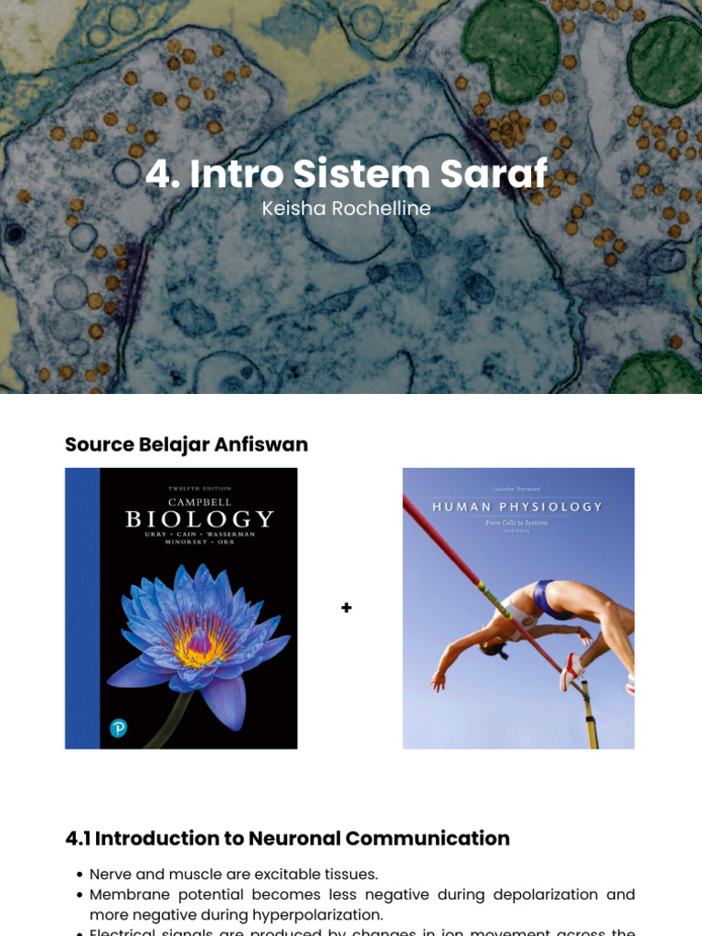 Sistem Saraf - Compressed | PDF | Action Potential | Nervous System