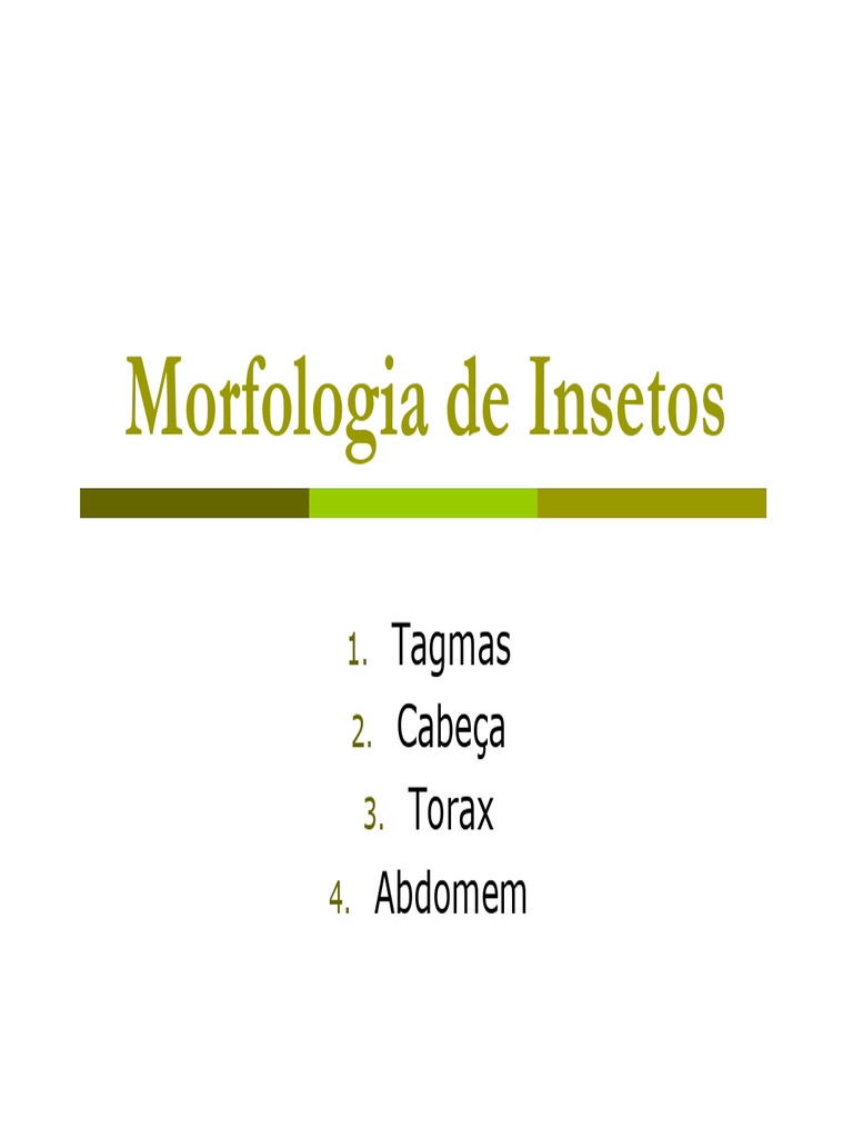 Morfologia de Insetos 3 (Modo de Compatibilidade) | PDF | Insetos | Hexapoda