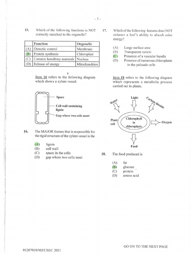 Bio Paper 1, Sheet 4 | PDF