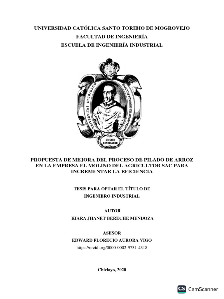 Mejora del Proceso de Pilado de Arroz | PDF | Economias | Negocios ...